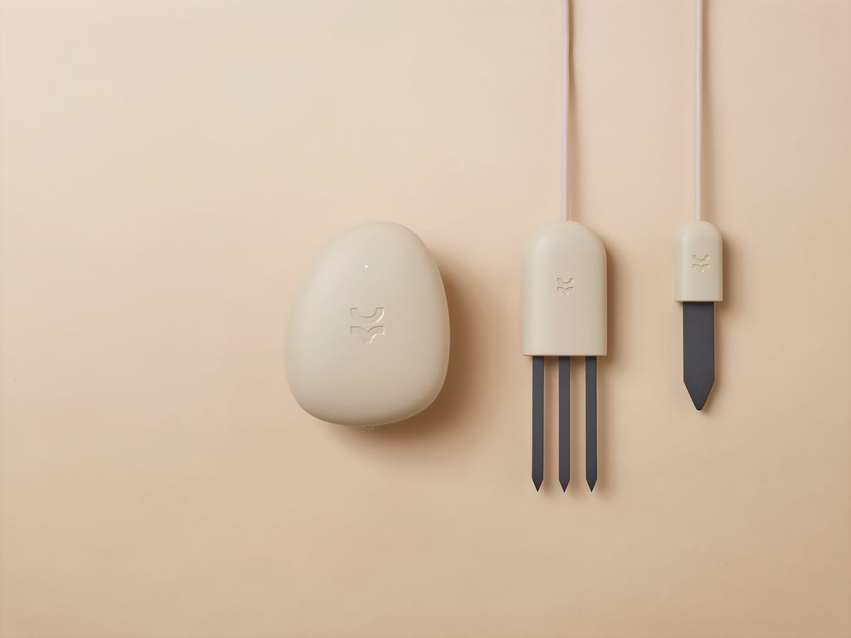 OKO – Smart Plant Sensors for Effortless Plant Care